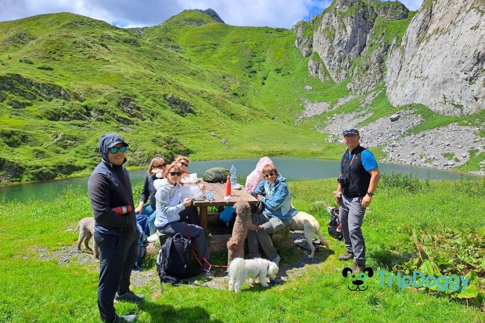 Doggy Tour Carnia - Tour in Carnia con il cane