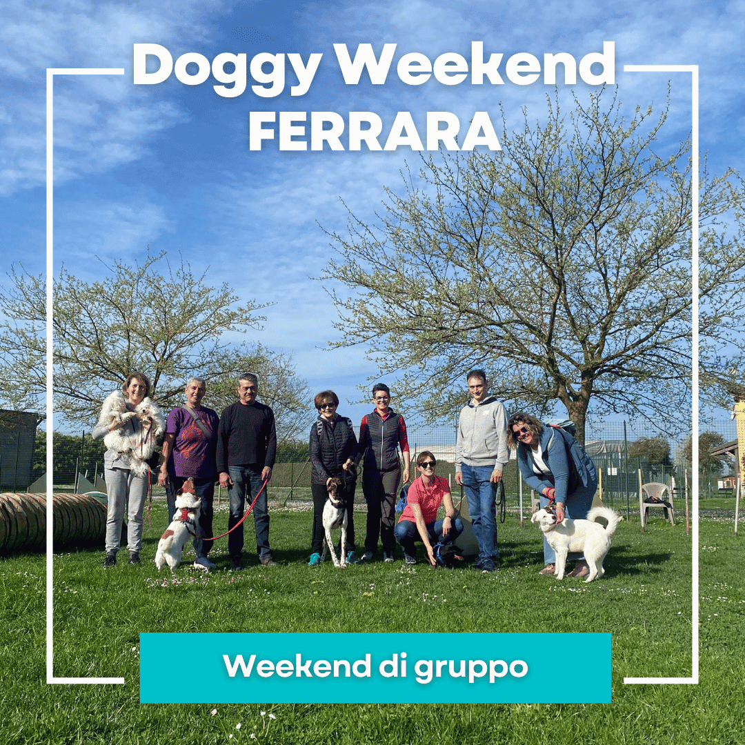 Doggy Weekend Ferrara- Weekend a Ferrara con il cane
